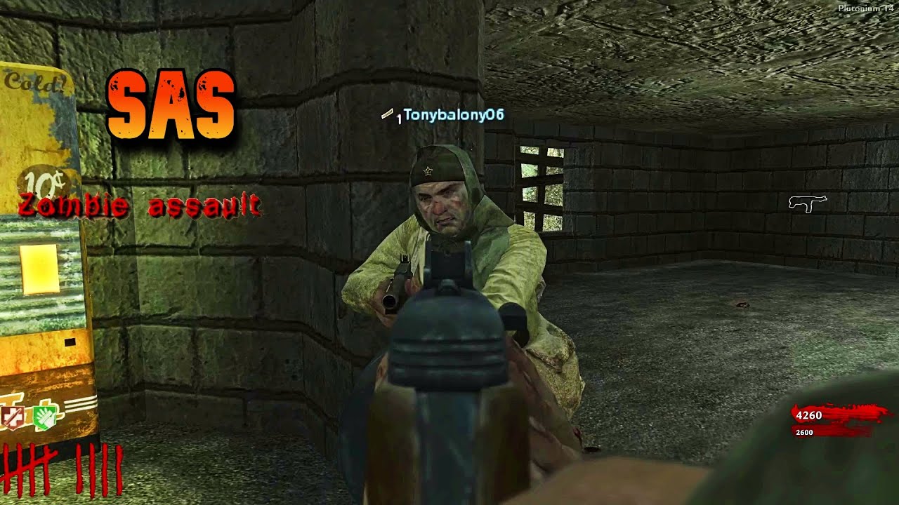 THIS MAP IS LIKE NATCH WITH PERKS | SAS (WAW ZOMBIES CUSTOM MAP) - YouTube