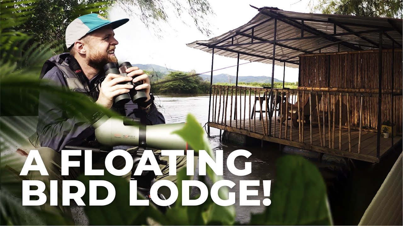 Osprey Ecolodge: A Floating Lodge on Colombia’s Cauca River - YouTube