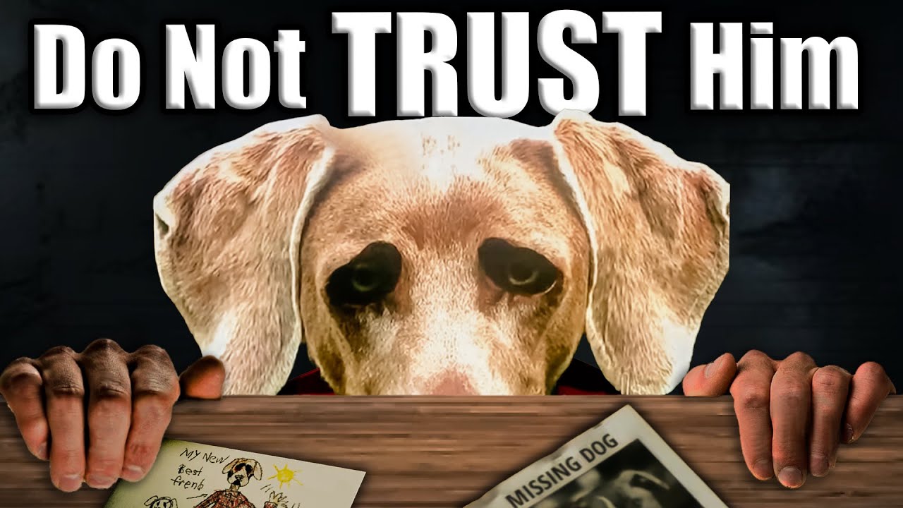 Solving The Horrors Of Dog Nightmares! (Dog Nightmares) - YouTube