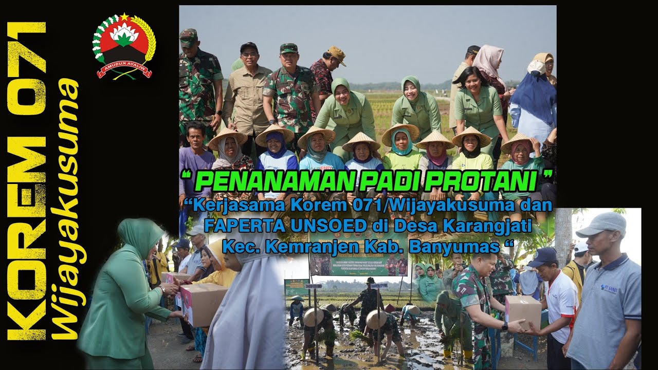 Penanaman Padi PROTANI Kerjasama Korem 071 dan FAPERTA UNSOED Ds ...