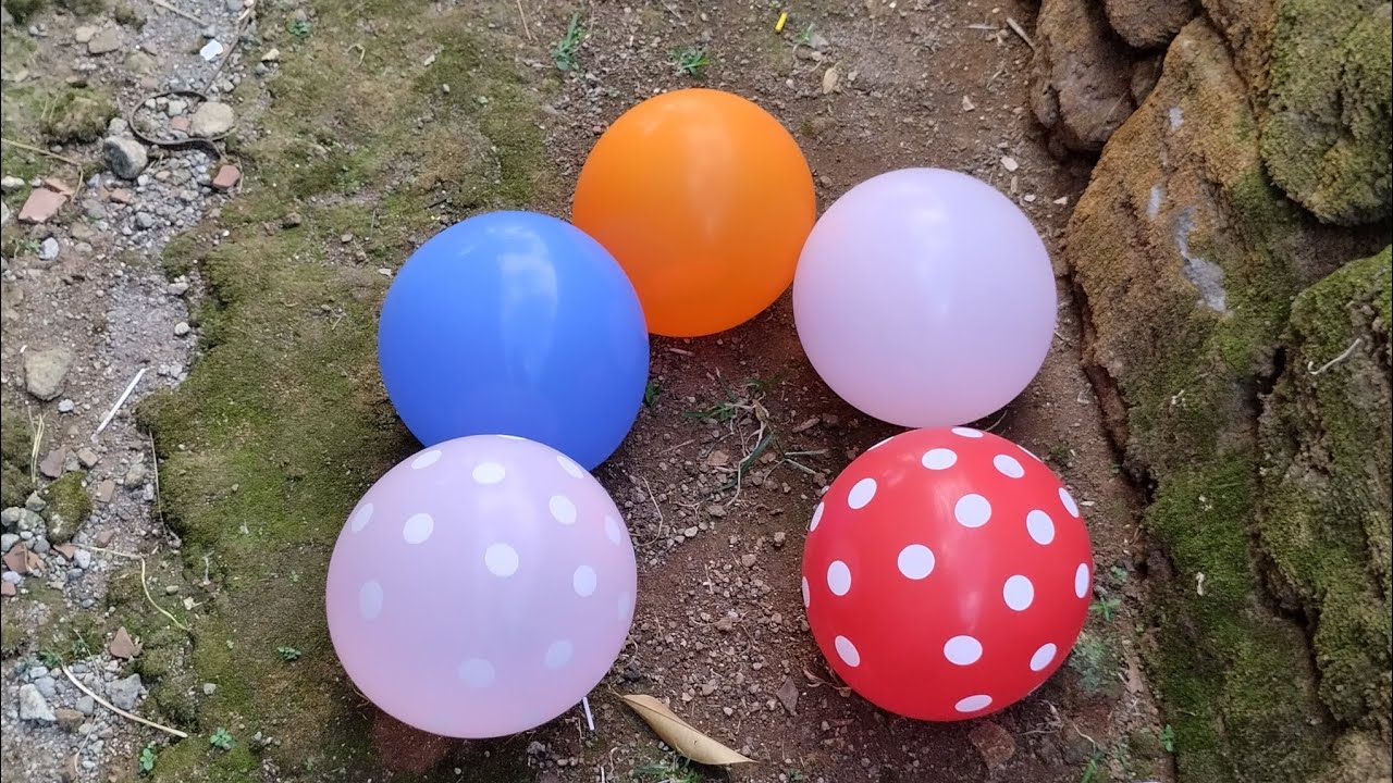 Meletuskan balon berhadiah timun,paprika,jagung,kentang,kol - YouTube