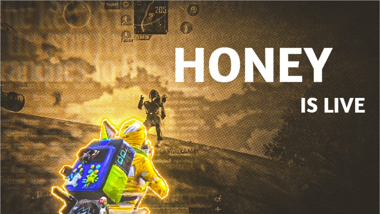 LETS GOOOO TOP 100 | HONEY HGYT IS LIVE HERE - YouTube