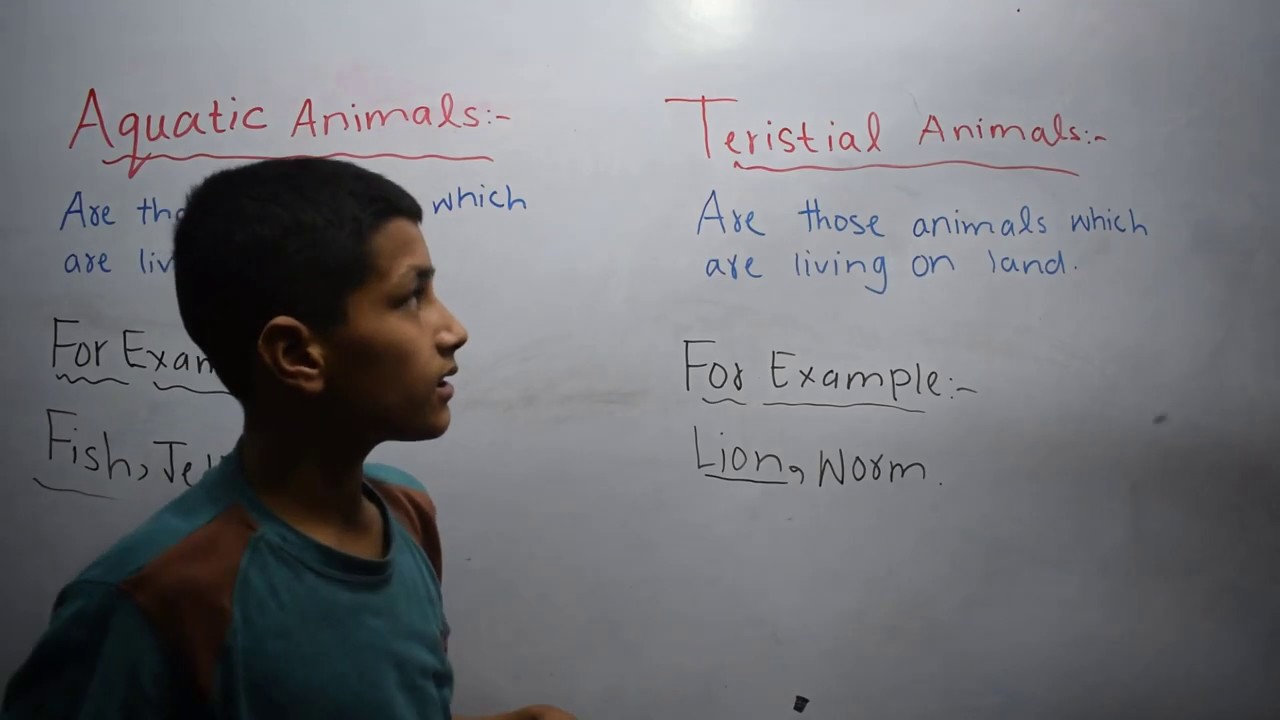 Difference Between Aquatic And Terrestrial Animals | Structure and ...
