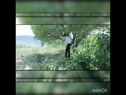 Gowshut Saryyew -Kese arkac