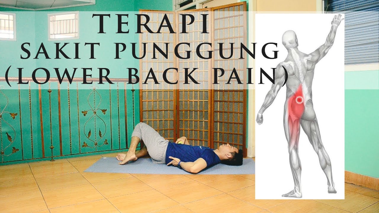 Terapi Sakit Punggung (Lower Back Pain) - Yoga with Akbar - YouTube