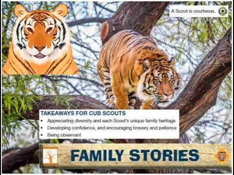 DECEMBER | Family Stories | Tiger Adventures - YouTube