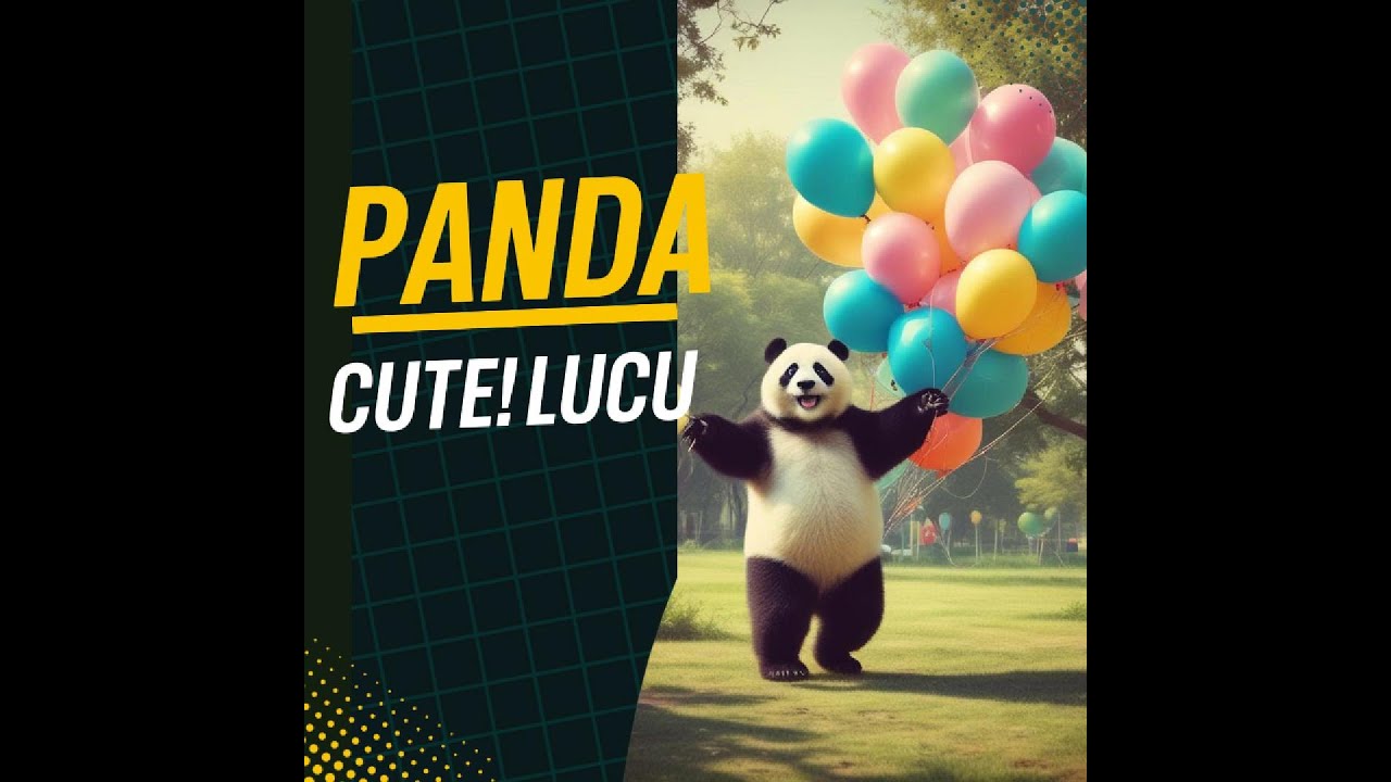 PANDA CUTE LUCU - YouTube
