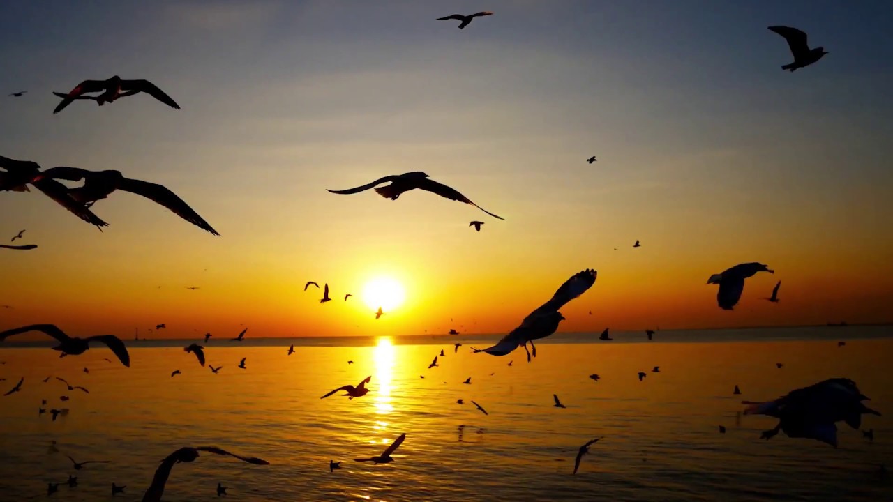 Holy Spirit - by Keith Getty and Stuart Townend - YouTube