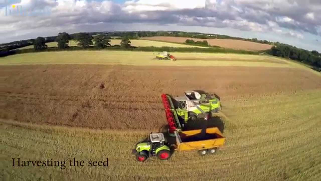 Farming Year - YouTube