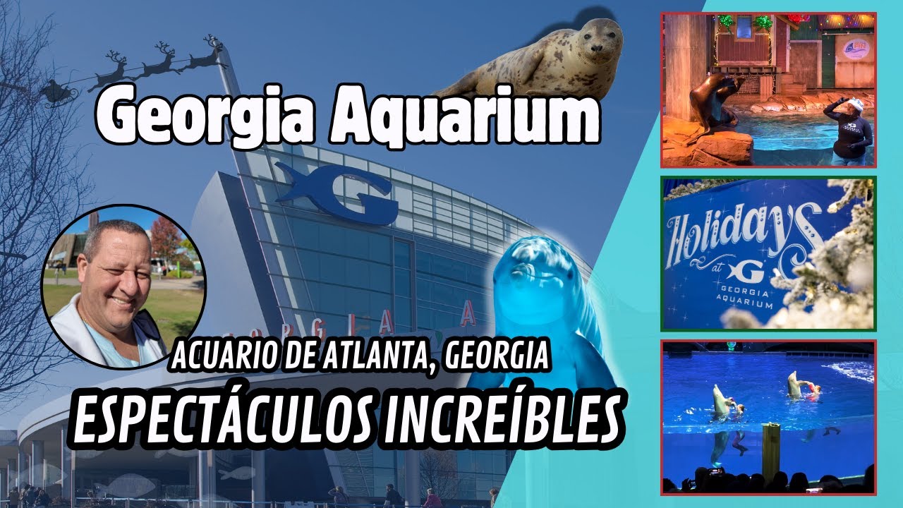 ¡Espectáculos Increíbles! Georgia Aquarium - Acuario de Atlanta, GA ...