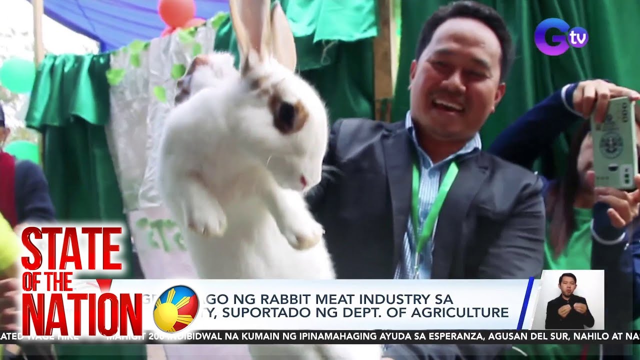 Pagpapalago ng Rabbit Meat Industry sa Baguio City, suportado ng Dept ...