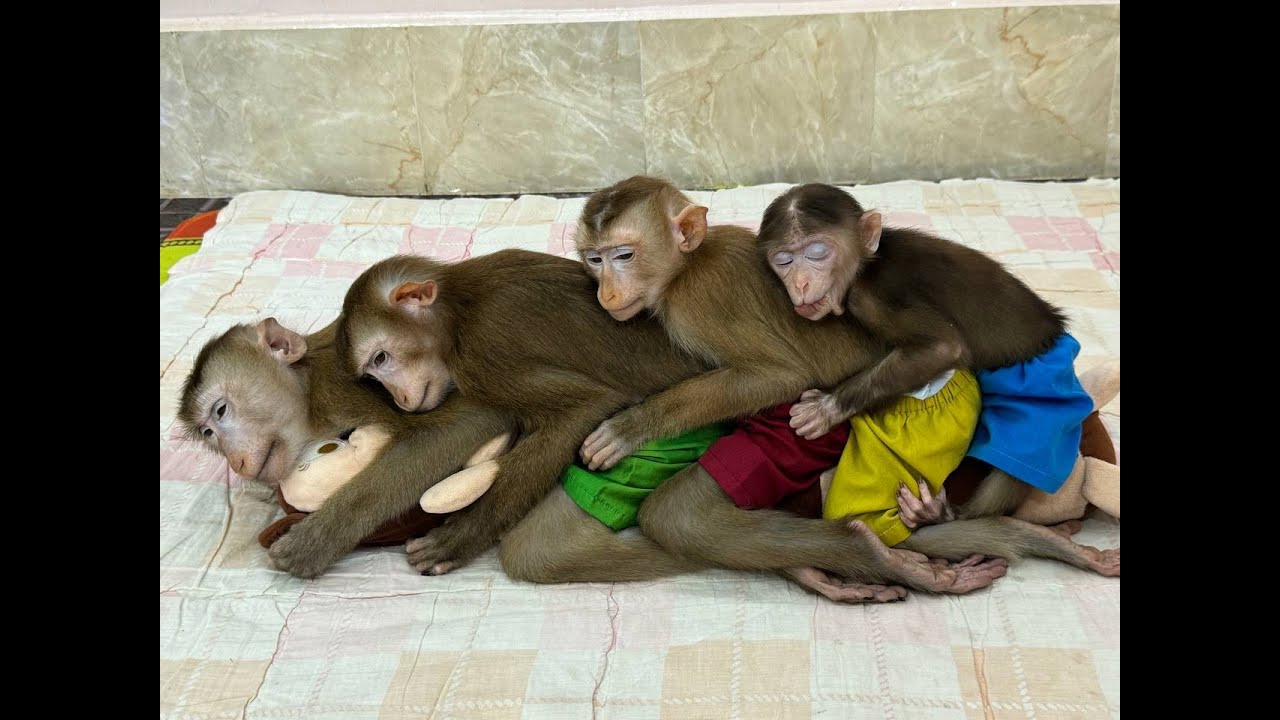 4 Siblings Sleep Hugging Each Other With Warm Hug Till Falling Asleep ...