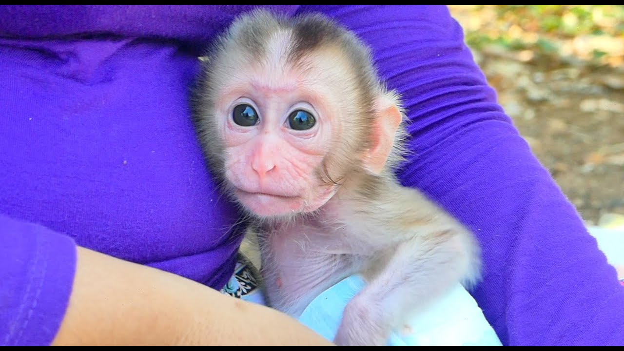 Special time for take care Baby Bou Bou | Obedience baby very cute ...
