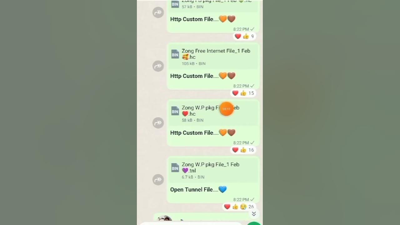Step-by-Step Guide to Setting Up HTTP Custom App - YouTube