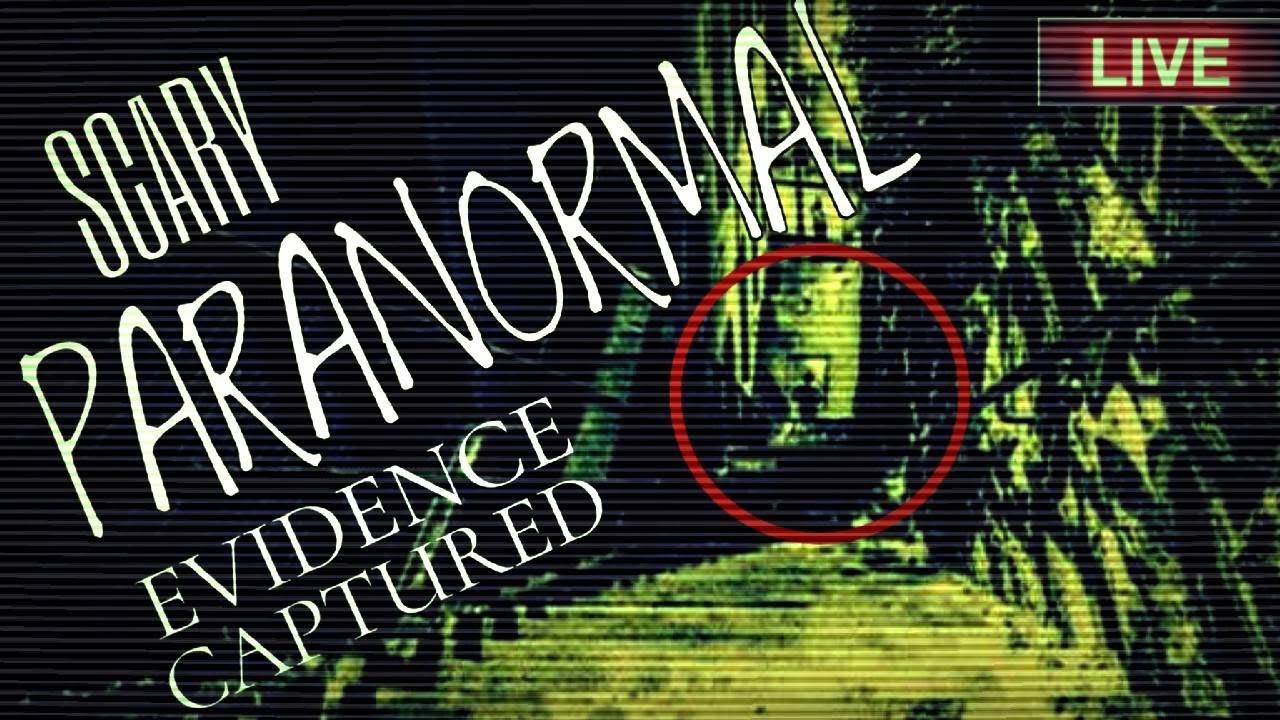 Scary Real Paranormal Evidence Captured? | P54 Marathon #stream - YouTube