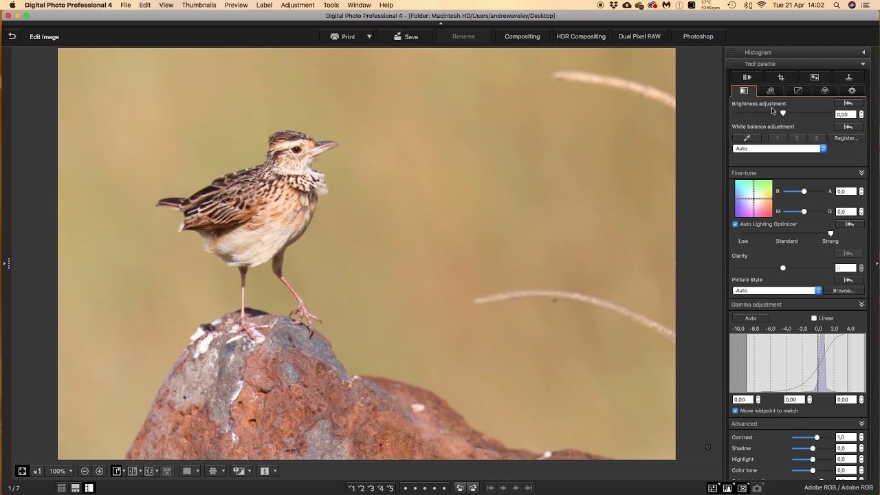 Processing RAW Files in Canon Digital Photo Professional 4 - YouTube