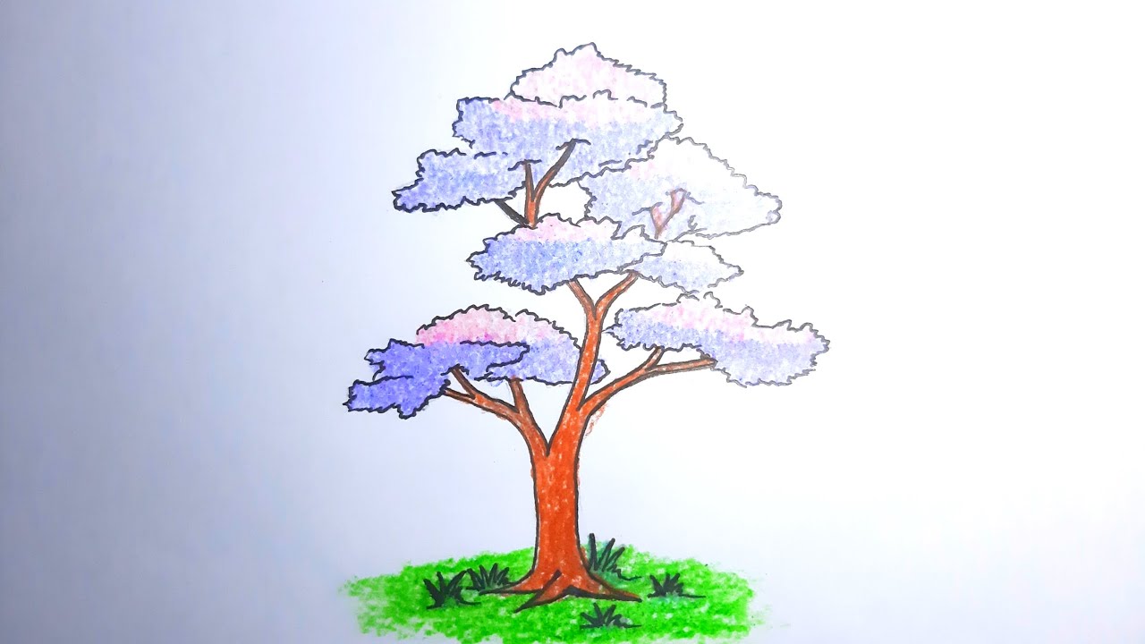 Simple and Easy colourful Tree Drawing (Very Easy).@FreshDrawingbyJoy ...