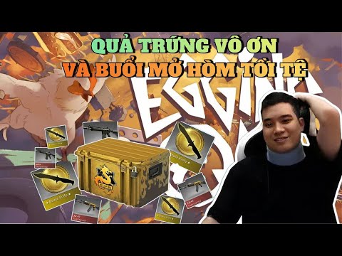 KAYFF LIVE : ALICIALO