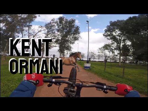 EKİPLE KENT ORMANININ DERİNLİKLERİNDE KEYİFLİ BİR SÜRÜŞ / Salcano NG450