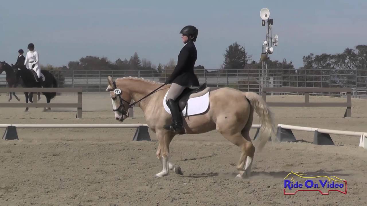 371D Ashley Nelms on Delightfully Dandy SR Beginner Novice Dressage ...