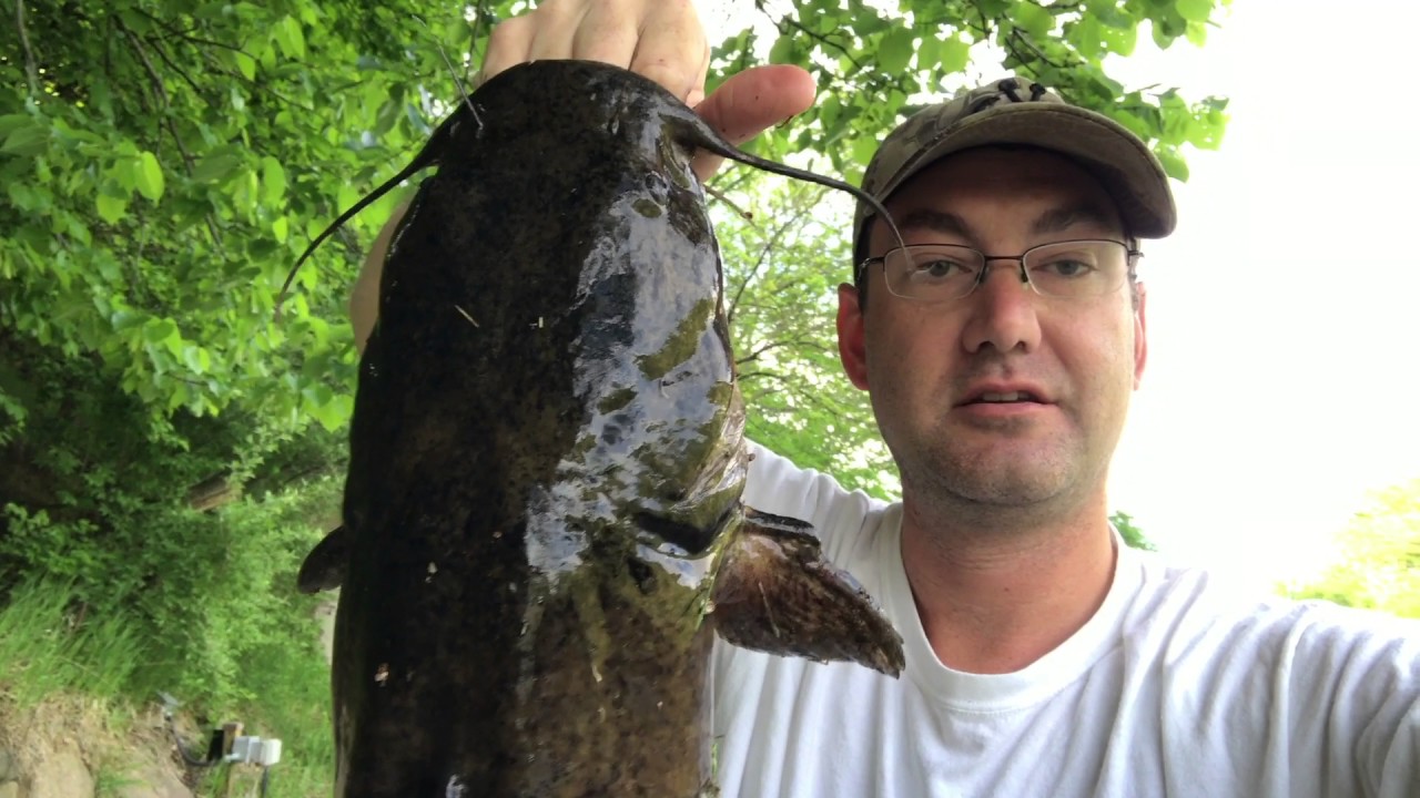 Another Hawg Lawg Ditty Pole Flathead Before Work - YouTube
