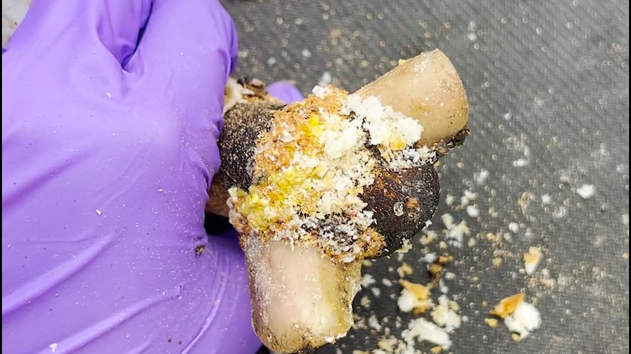 𝐂𝐔𝐓 𝐈𝐧𝐠𝐫𝐨𝐰𝐧 𝐓𝐨𝐞𝐧𝐚𝐢𝐥𝐬, 𝐓𝐨𝐞𝐧𝐚𝐢𝐥𝐬 𝐰𝐢𝐭𝐡 𝐌𝐚𝐠𝐠𝐨𝐭𝐬, 𝐅𝐮𝐧𝐠𝐚𝐥 𝐓𝐨𝐞𝐧𝐚𝐢𝐥𝐬 ...