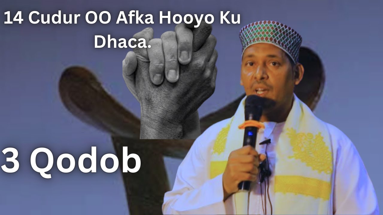 Cudurrada Afka Hooyo Ku dhaca 3 Qodob oo Xasaasi ah Saxafi Faysal ...