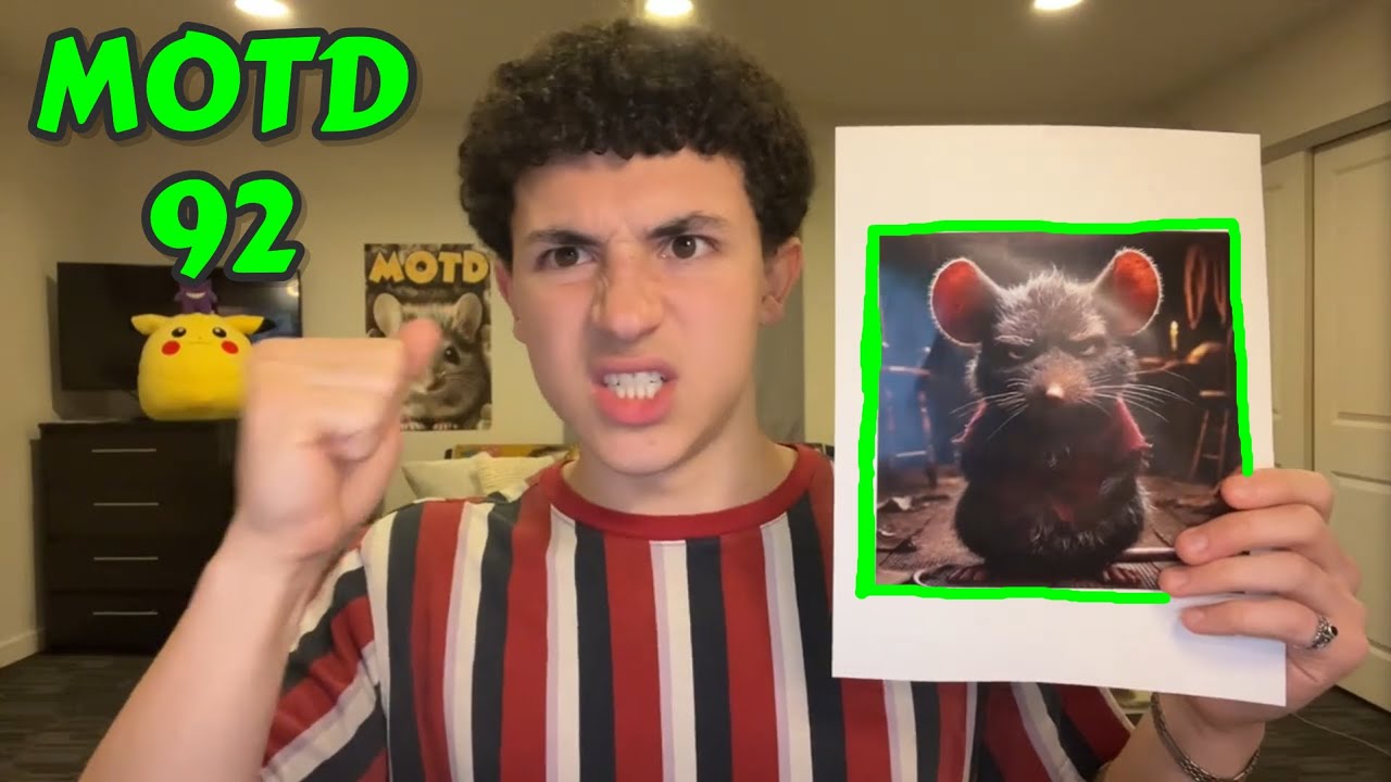 Grumpy Gus Finally Came Out Of His Shell To Lead His First Mouse ...