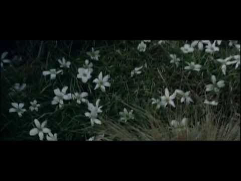 Arwen Undomiel/Tar Elessar - Tribute