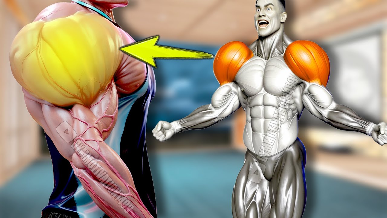 MAGIC Exercises to Get Big Shoulder Fastest - YouTube