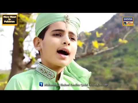 Dil wala sahid videos