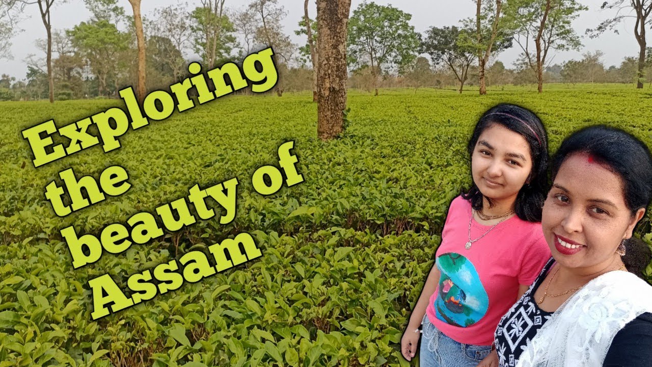 Exploring the beauty of Assam|| My second blog|| Tea garden view ...