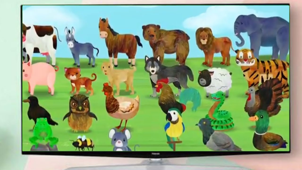 HOORAY HOORAY TODAY SING ANIMAL SONGS EFFECTS COMPILATION SPONSORED BY ...