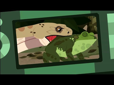 Veneno de cobra | Aventuras con los Kratt