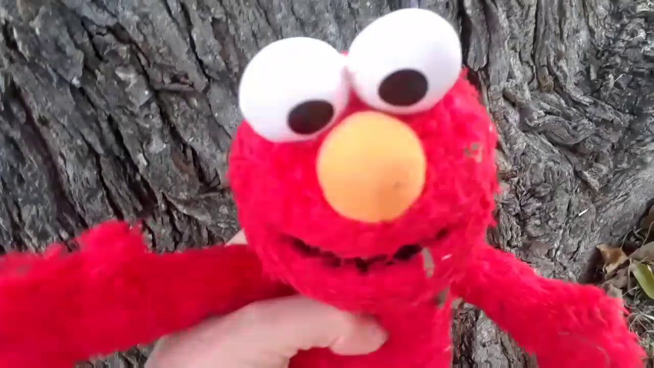 Dave Panda and his new best friend Elmo and the dog - YouTube