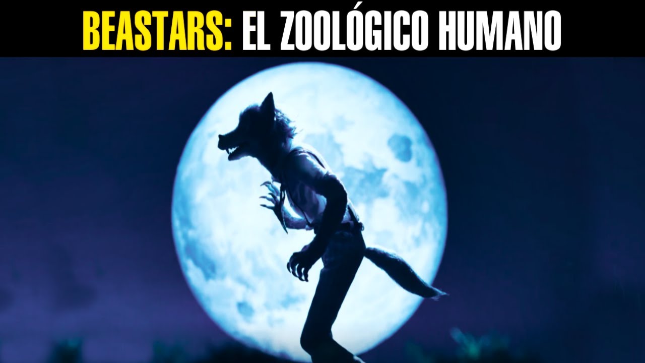 BEASTARS: El Zoológico Humano - Análisis - YouTube