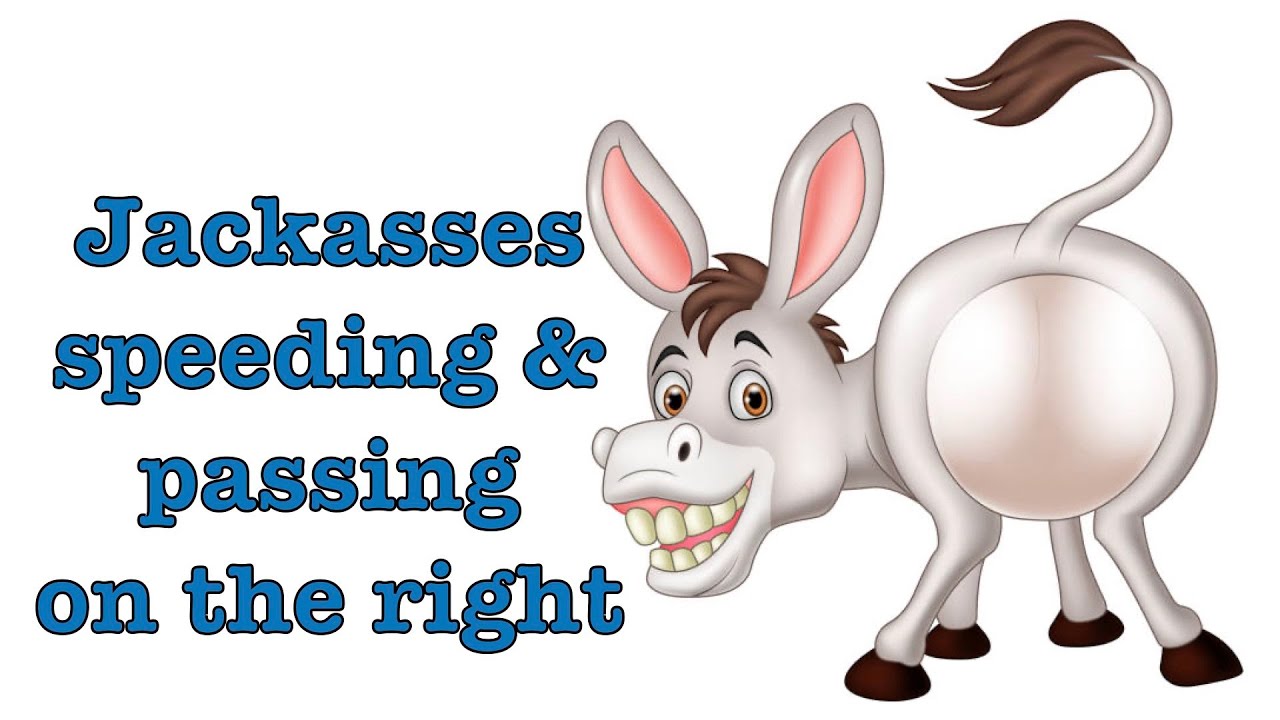 Two Jackasses passing on the right - YouTube