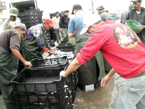 Le port de pèche de tarfaya - YouTube