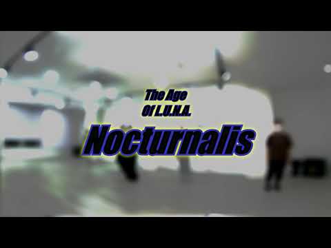 The Age Of L.U.N.A. - Nocturnalis / Girls Hiphop Basic(걸스 힙합 입문) / 천안 고릴라크루 댄스학원