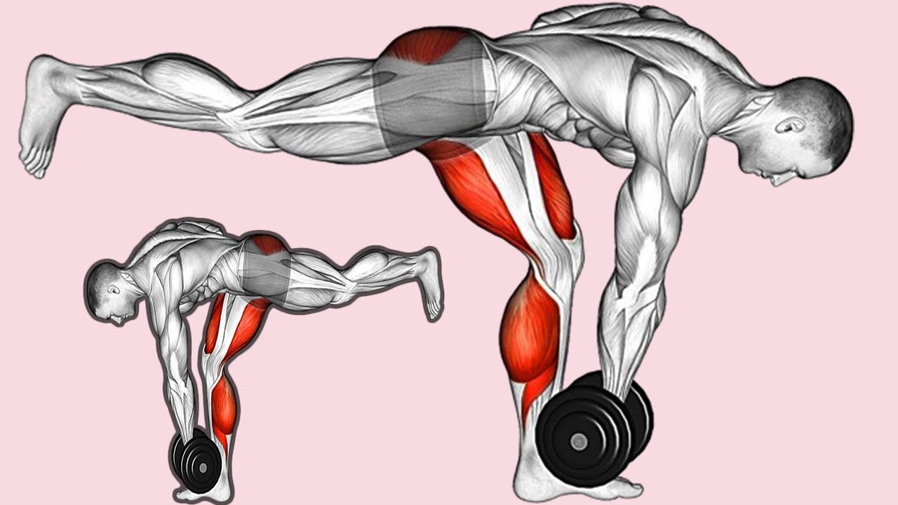 Dumbbell Leg Workout for Strong Legs | Dumbbell New Workout - YouTube