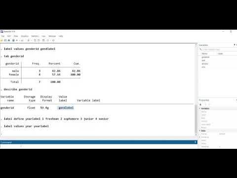 Creating a small dataset in Stata from the Command line (August 2021 ...