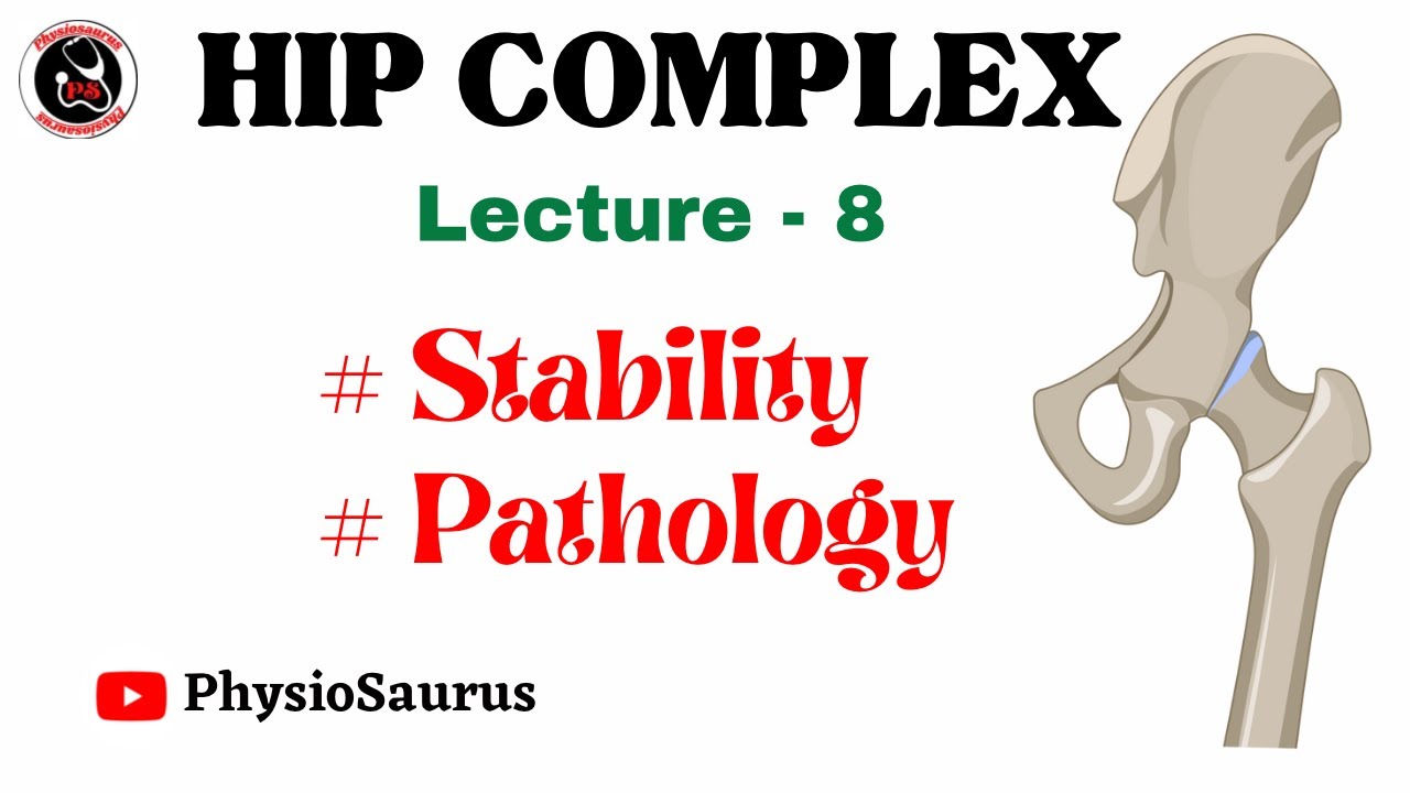 Hip complex | Pathologies | Stability | - YouTube