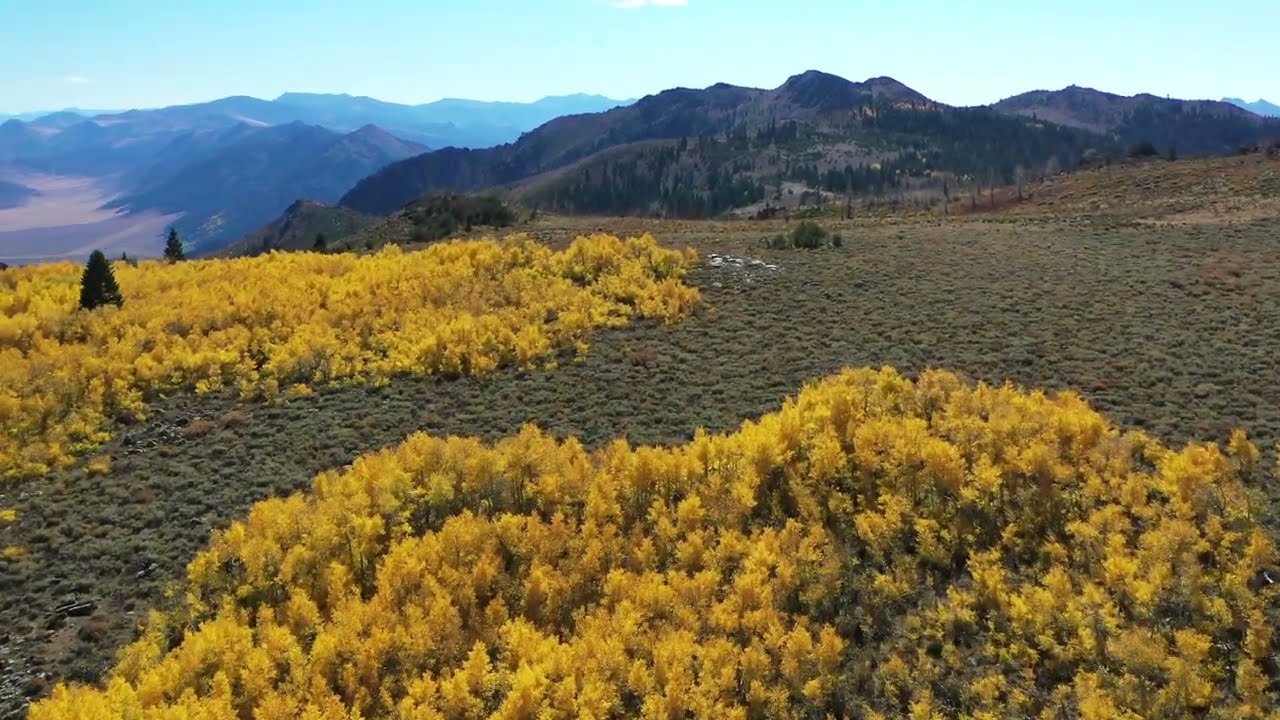 Monitor Pass Fall Colors - YouTube