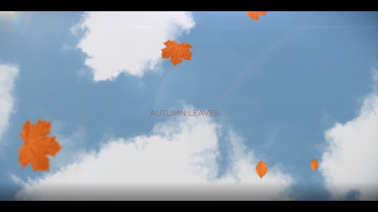 DJ BRO D - Autumn Leaves (Lyric Video) - YouTube