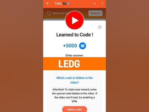 Cats new code Today 🔥 Learned to Code cats code….. #cats #telegram #mining - YouTube