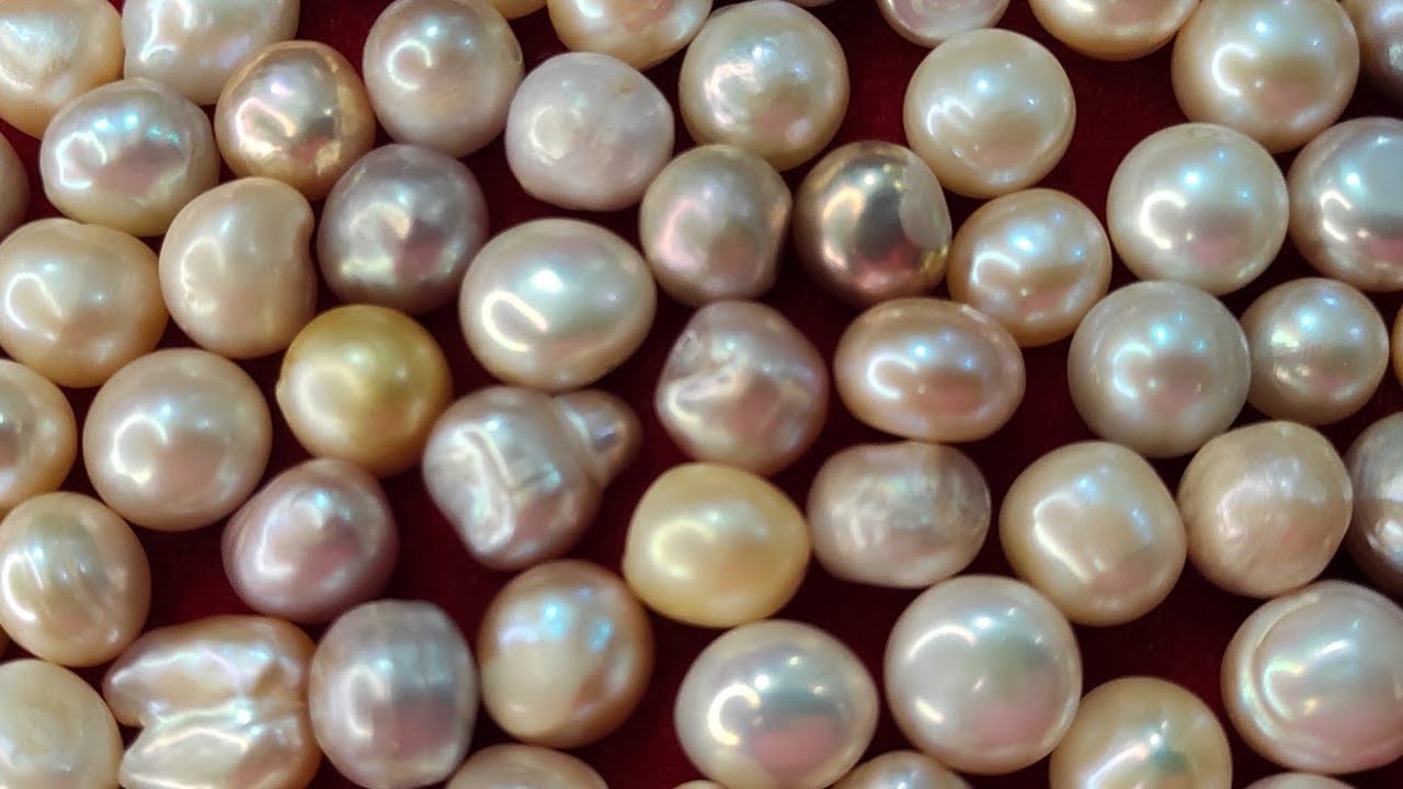 South sea pearl Stone Benefits,Mukta Pathorer Upokarita,Benefits of ...