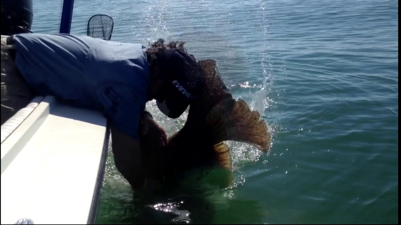 Savage Fish Tail Slaps Fisher In The Face! Hard As Nails - YouTube