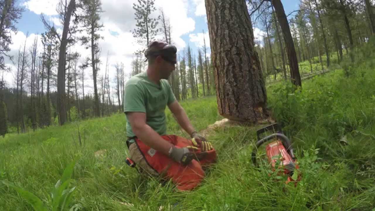 4k HD (Part 2) Woodworking How-to cut your own beetle kill trees for ...