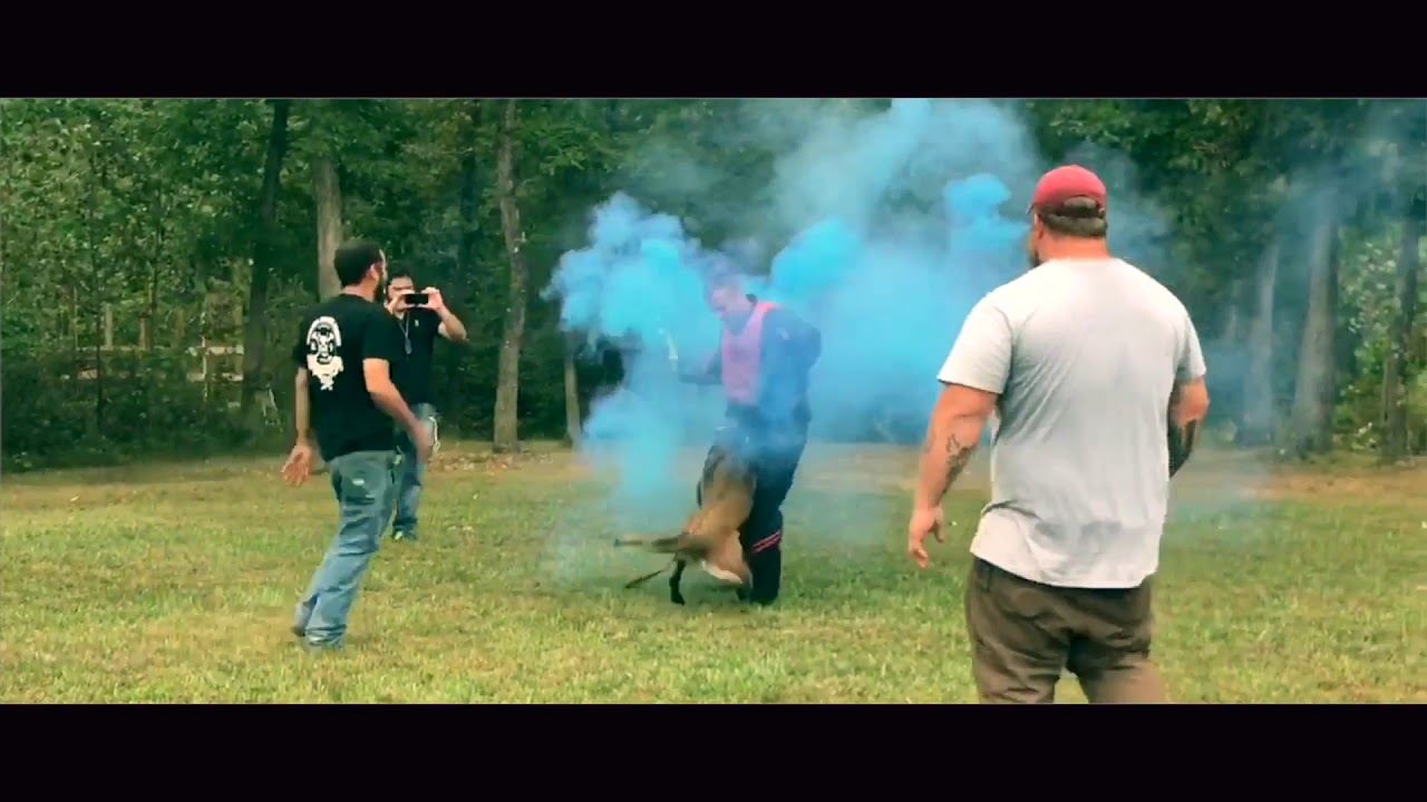Off Leash K9 Training Decoy Workshop | Highlights - YouTube