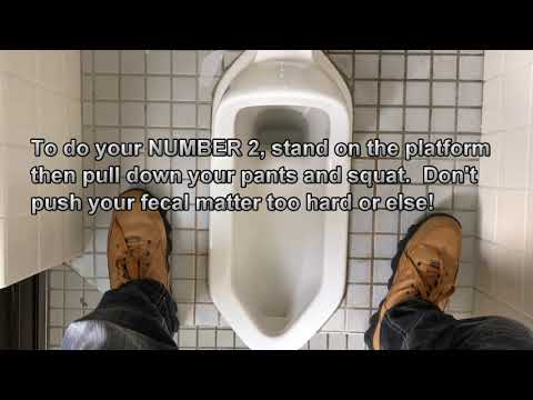 Mastering Traditional Japanese Toilets: A Squat Guide! #japanmcdonalds #japanesetoilets #culture